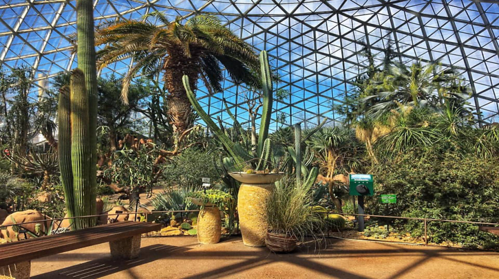 $134 million project proposed to restore, improve Mitchell Park Domes ...